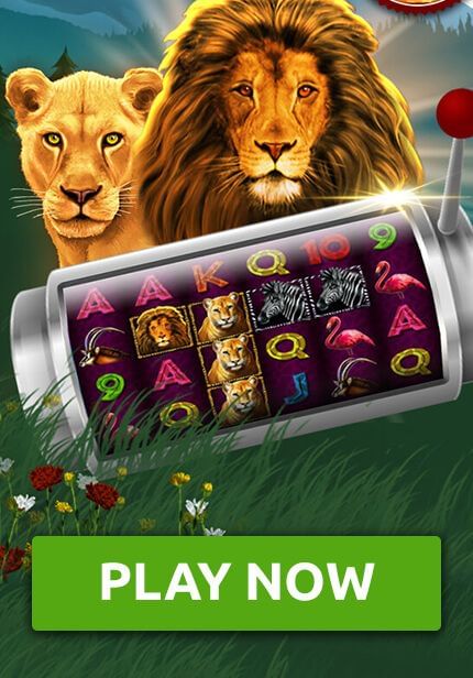 Cash Cabin Casino: Does it Deliver the Goods?